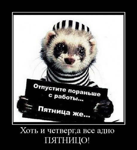 Скачать прикольные и красивые картинки Демотиваторы про пятницу на